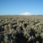 Sagebrush Conservation Strategy – WAFWA