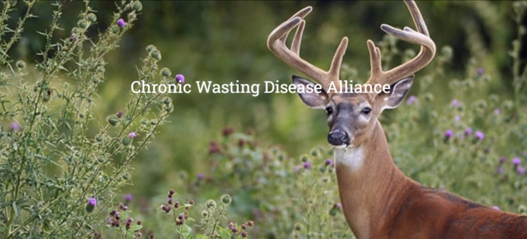 Chronic Wasting Disease – WAFWA