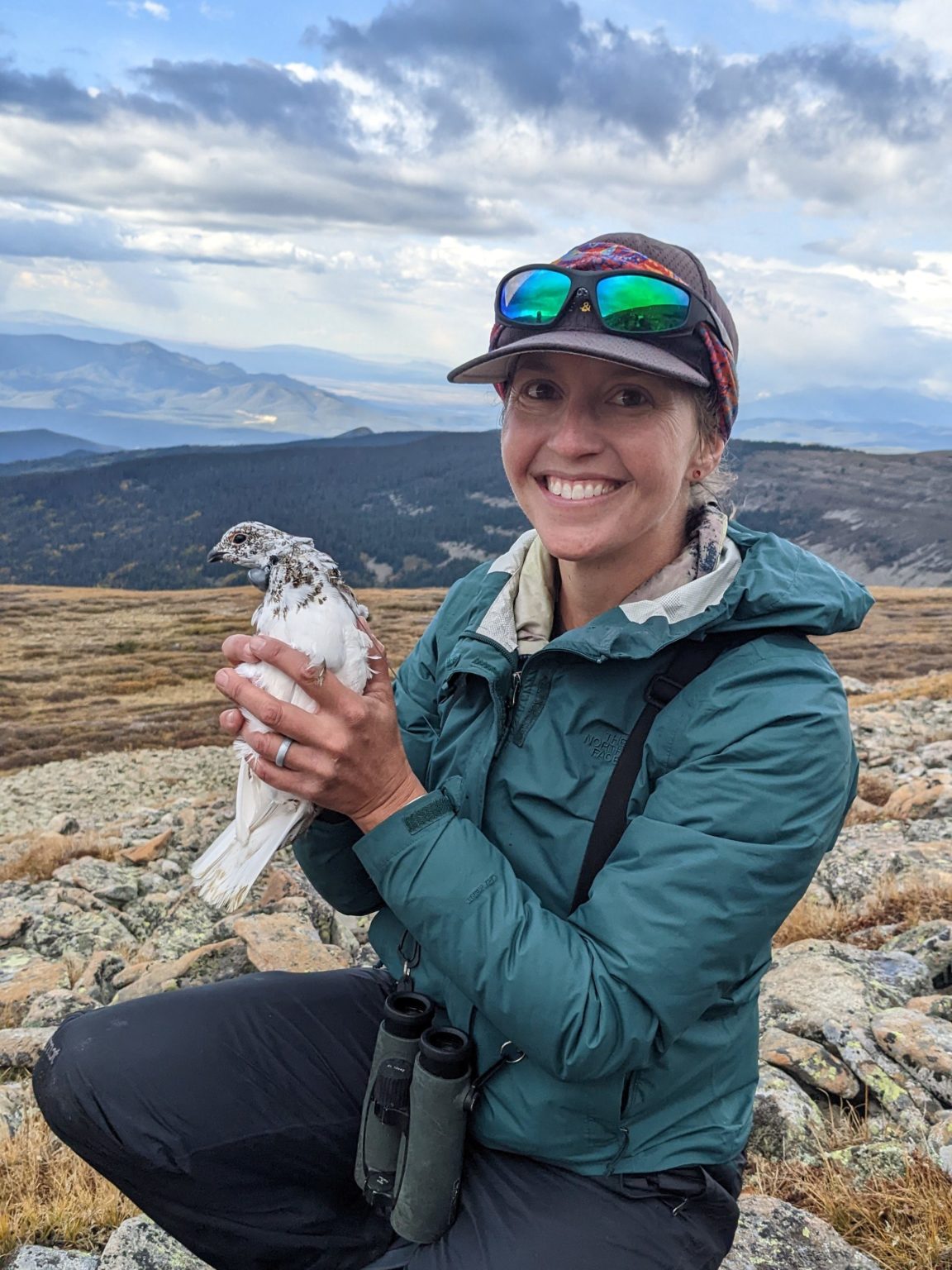 Wildlife Movement and Connectivity Initiative – WAFWA